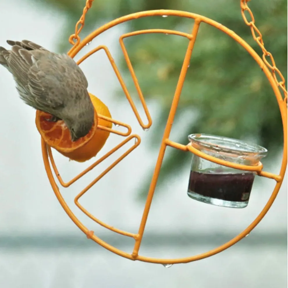 🔥2-in-1 hanging hummingbird oriole feeder – MARIVN